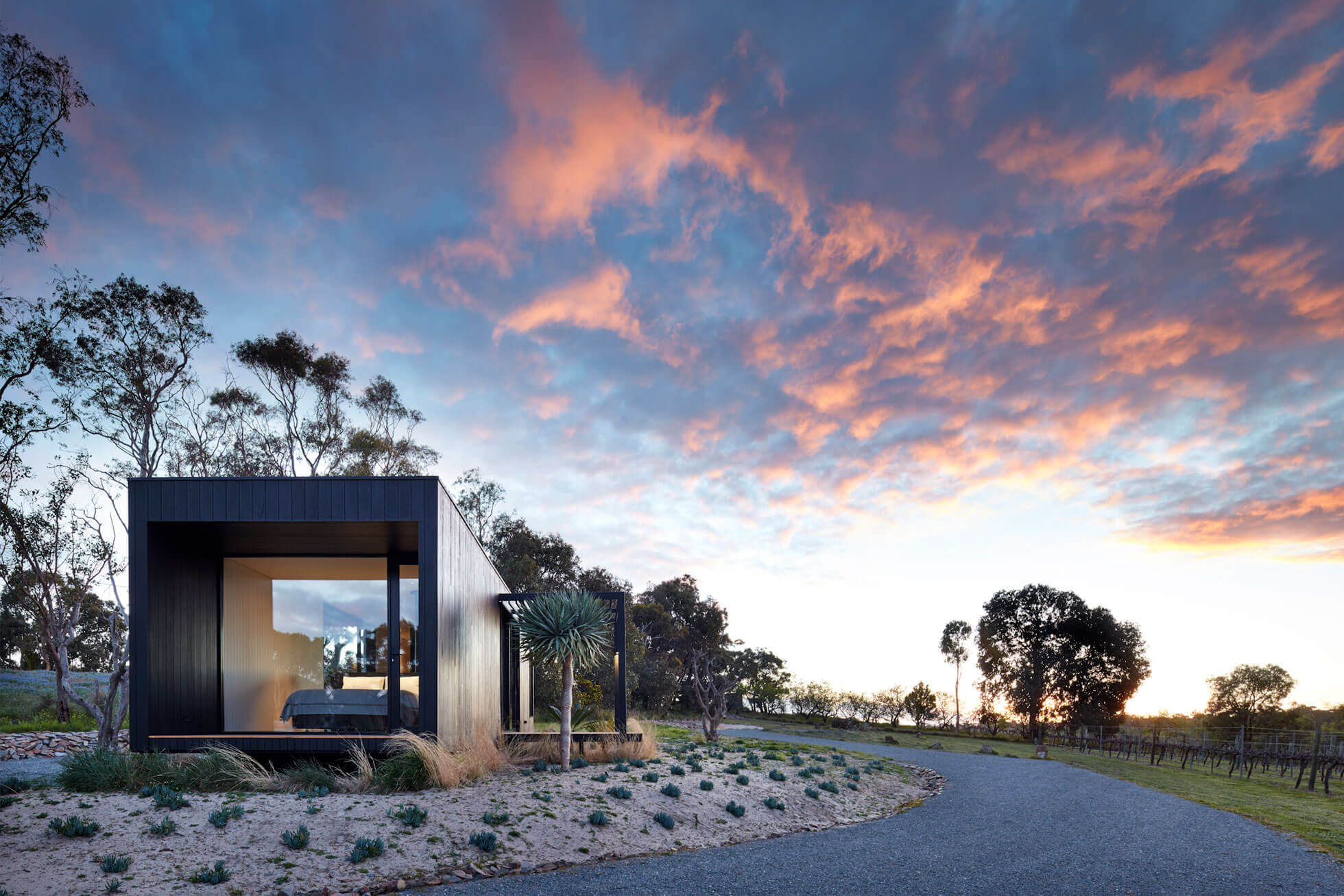 Cadole Avalon - The Vineyard McLaren Vale