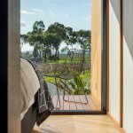 Cadole Sierra - The Vineyard McLaren Vale